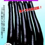 タキイ交配 庄屋（本長ナス） | 市川種苗店【公式オンラインショップ】